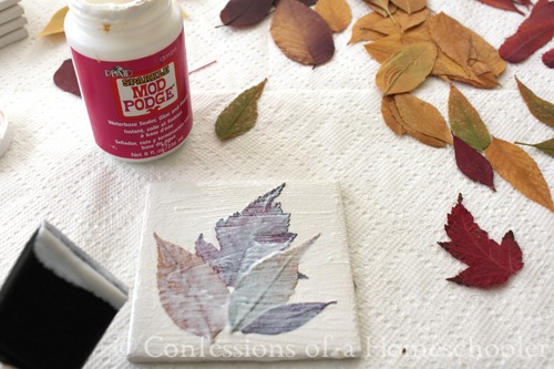 DIY: Homemade Leaf Coaster Craft | Confessions of a Homeschooler ...